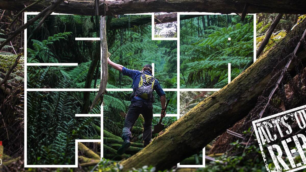 ShAFF 2020 Cancelled